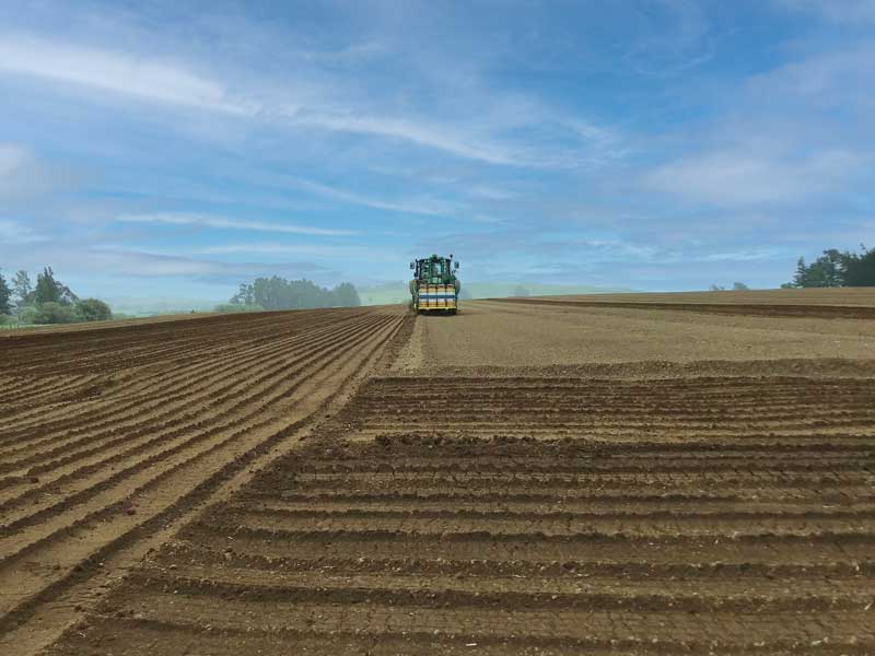Carrot Crops - Teleos Ag Solutions